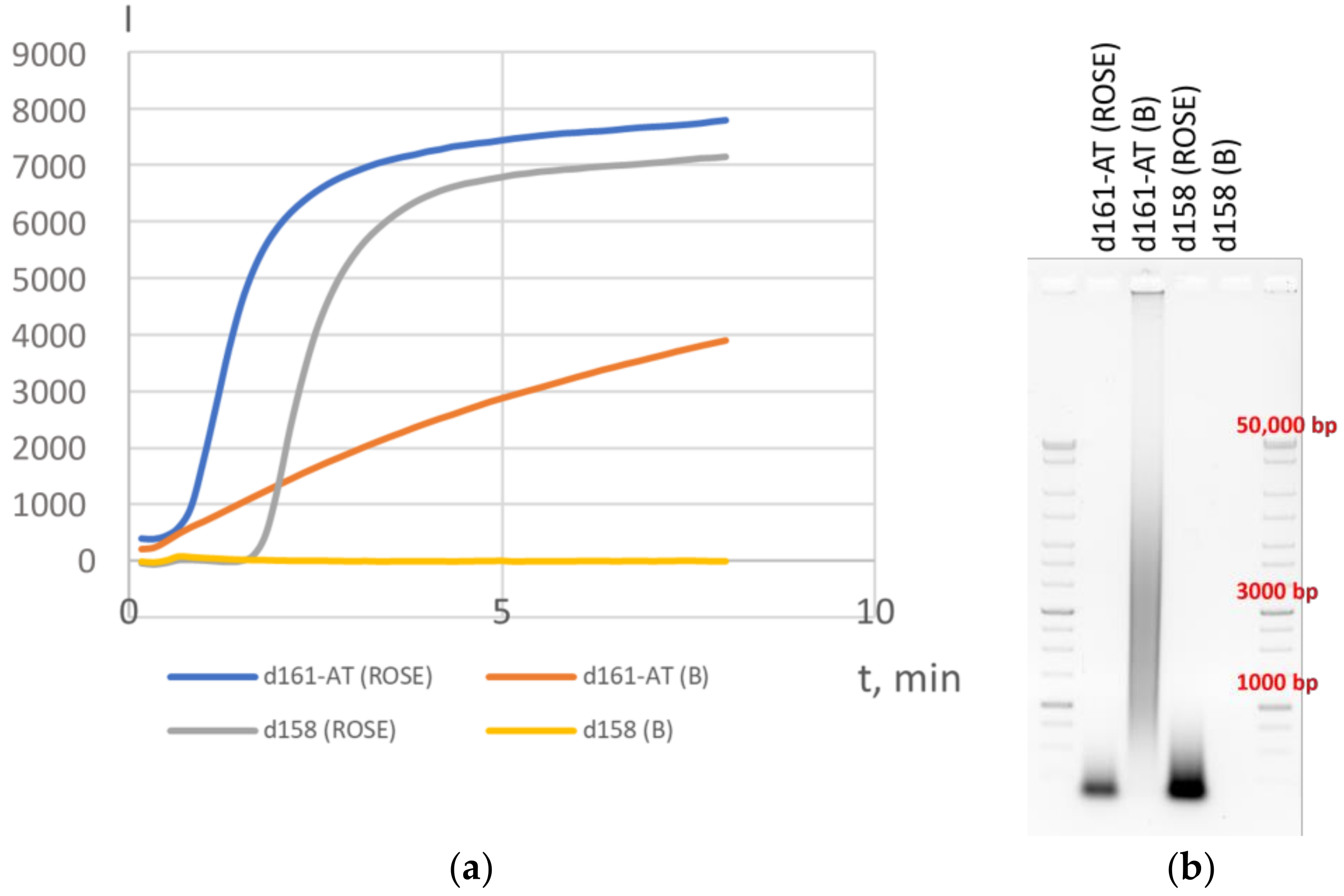 New Method of Isothermal, Hairpin Assisted, Primer Independent ...