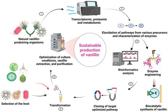 Biotechnological Advances in Vanillin Production: From Natural Vanilla ...