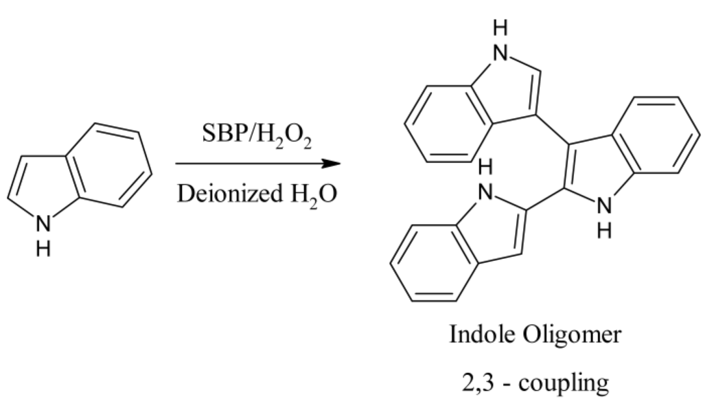 Biocatalytic Synthesis of Fluorescent Conjugated Indole Oligomers