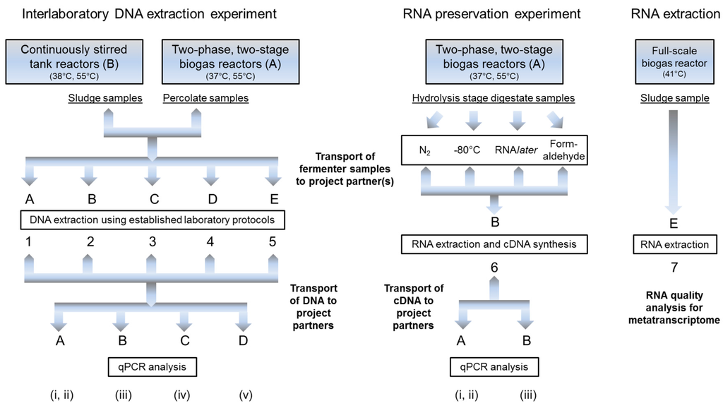 DNA and RNA Extraction and Quantitative Real-Time PCR-Based Assays for ...