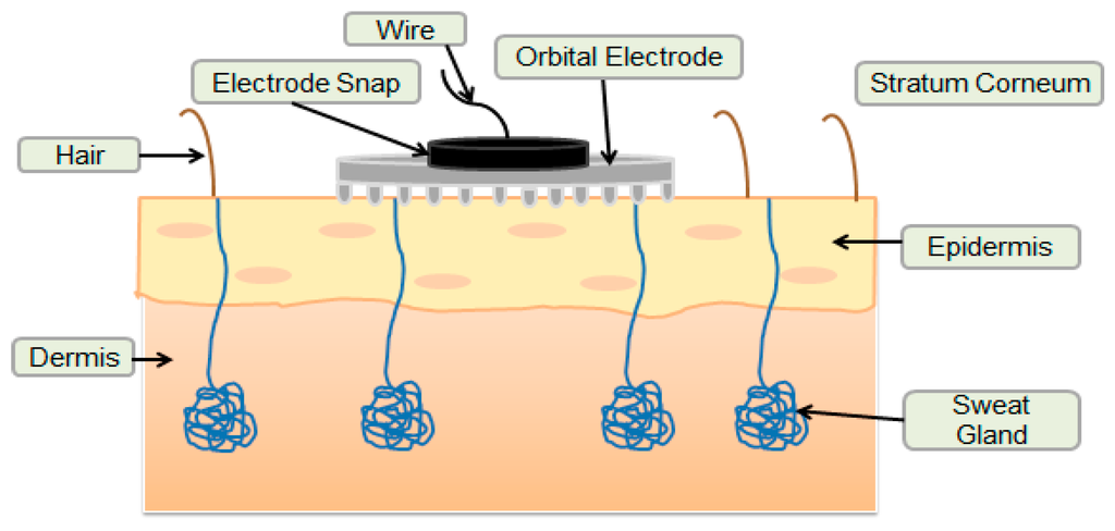 Evaluating Major Electrode Types for Idle Biological Signal ...