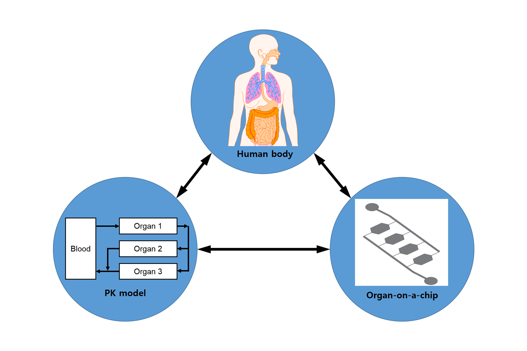 Bioengineering | Free Full-Text | Microtechnology-Based Multi-Organ Models Bioengineering | Free Full-Text | Microtechnology-Based Multi-Organ Models