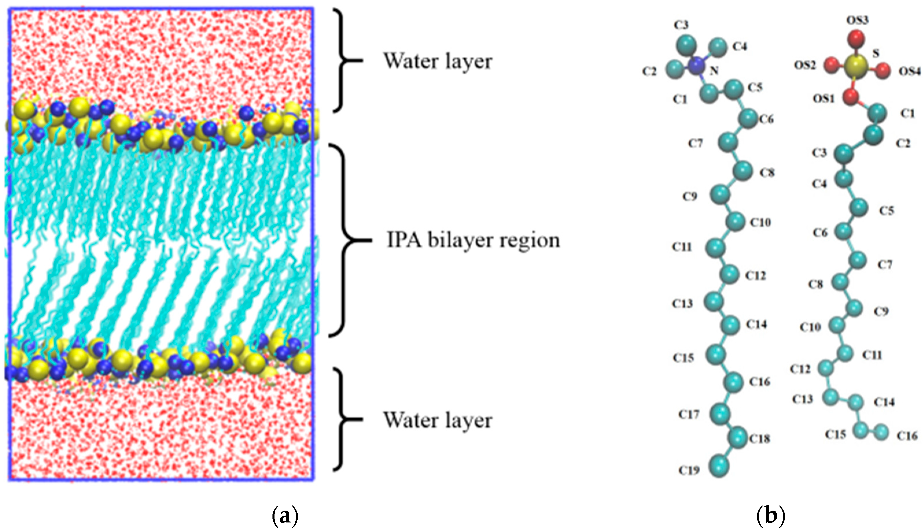 Bioengineering | Free Full-Text | The Effects of Alkyl Chain ...