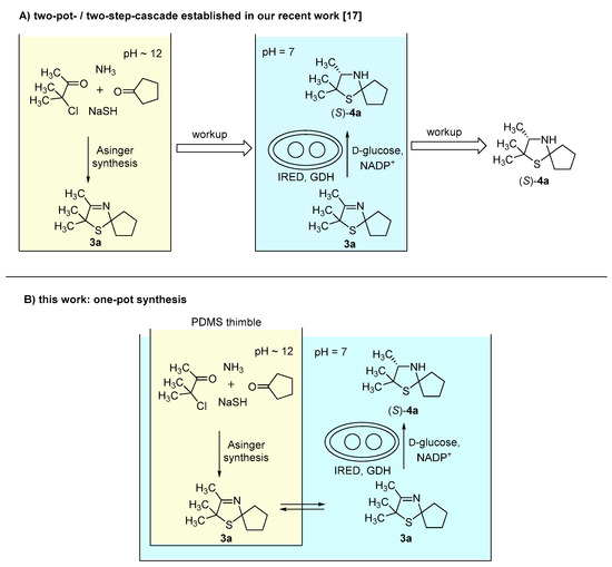 Merging Heterocyclic Chemistry and Biocatalysis in One-Pot Processes ...