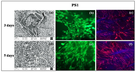Bioengineering | Free Full-Text | Core-Shell Nanofibrous Scaffold Based on Polycaprolactone-Silk ...