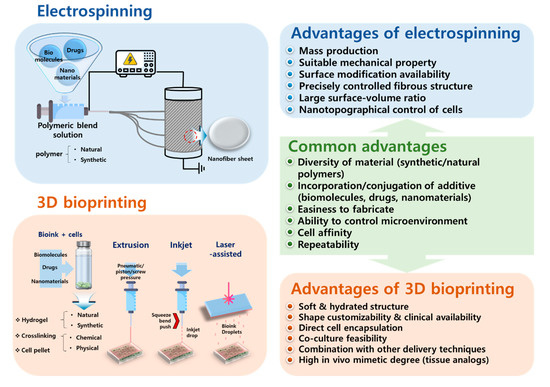 Advanced Techniques for Skeletal Muscle Tissue Engineering and Regeneration