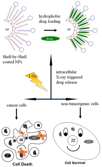 Bioengineering | Free Full-Text | Encapsulation of Hydrophobic Drugs in ...