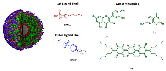 Encapsulation of Hydrophobic Drugs in Shell-by-Shell Coated ...