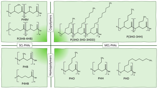 Advantages of Additive Manufacturing for Biomedical Applications of ...