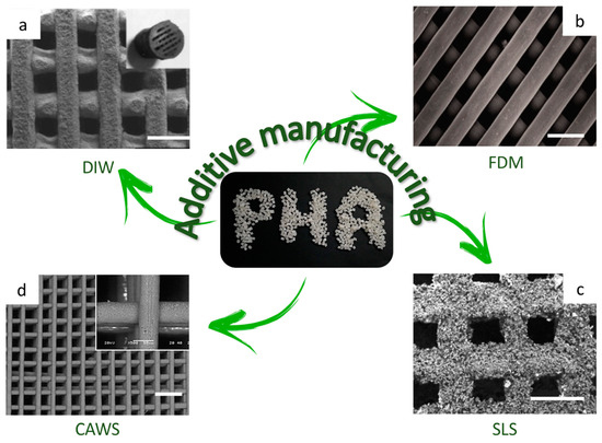 Advantages of Additive Manufacturing for Biomedical Applications of ...