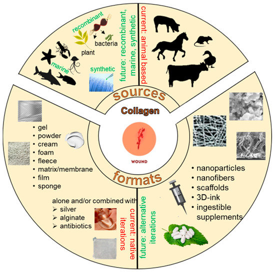 Collagen in Wound Healing