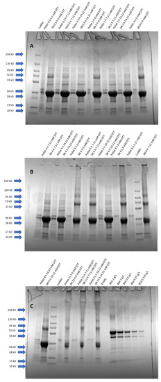 At-Line Reversed Phase Liquid Chromatography for In-Process Monitoring ...