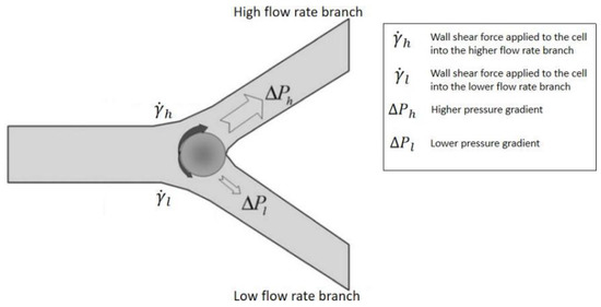 Blood Plasma Self-Separation Technologies during the Self-Driven Flow ...
