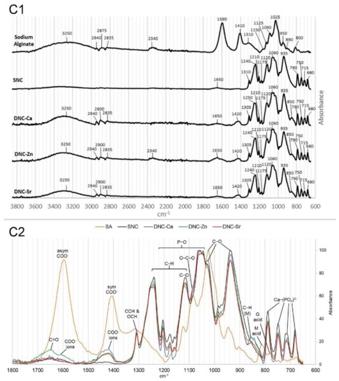 Bioengineering | Free Full-Text | Dual Network Composites of Poly(vinyl ...