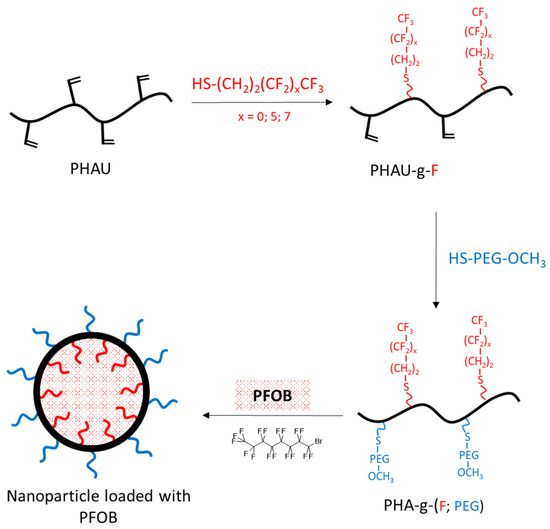 Amphiphilic and Perfluorinated Poly(3-Hydroxyalkanoate) Nanocapsules ...