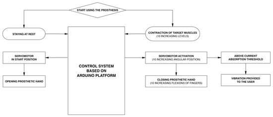 Bioengineering | Free Full-Text | The “Federica” Hand