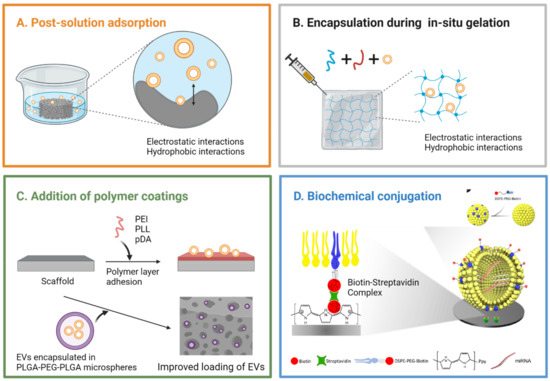 Bioengineering | Free Full-Text | Bioactive Scaffolds Integrated with ...