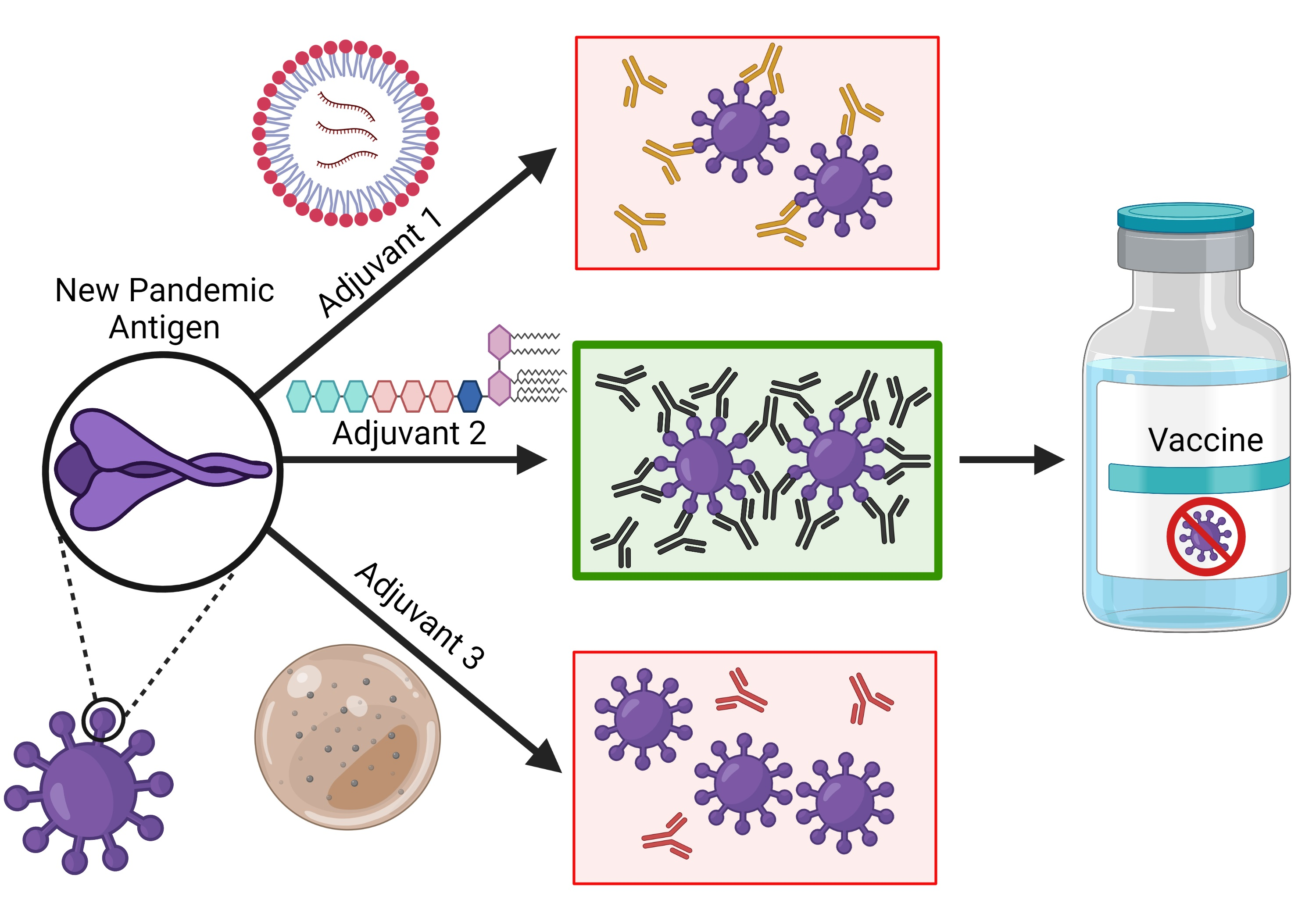 Bioengineering | Free Full-Text | Novel Vaccine Adjuvants as Key Tools ... Bioengineering | Free Full-Text | Novel Vaccine Adjuvants as Key Tools ...