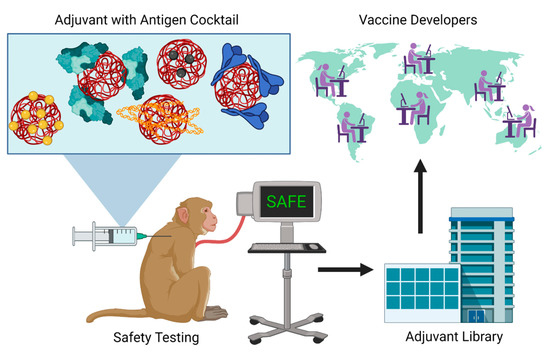 Novel Vaccine Adjuvants as Key Tools for Improving Pandemic Preparedness
