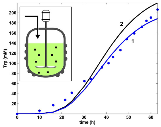 Bioreactors: Control, Optimization and Applications