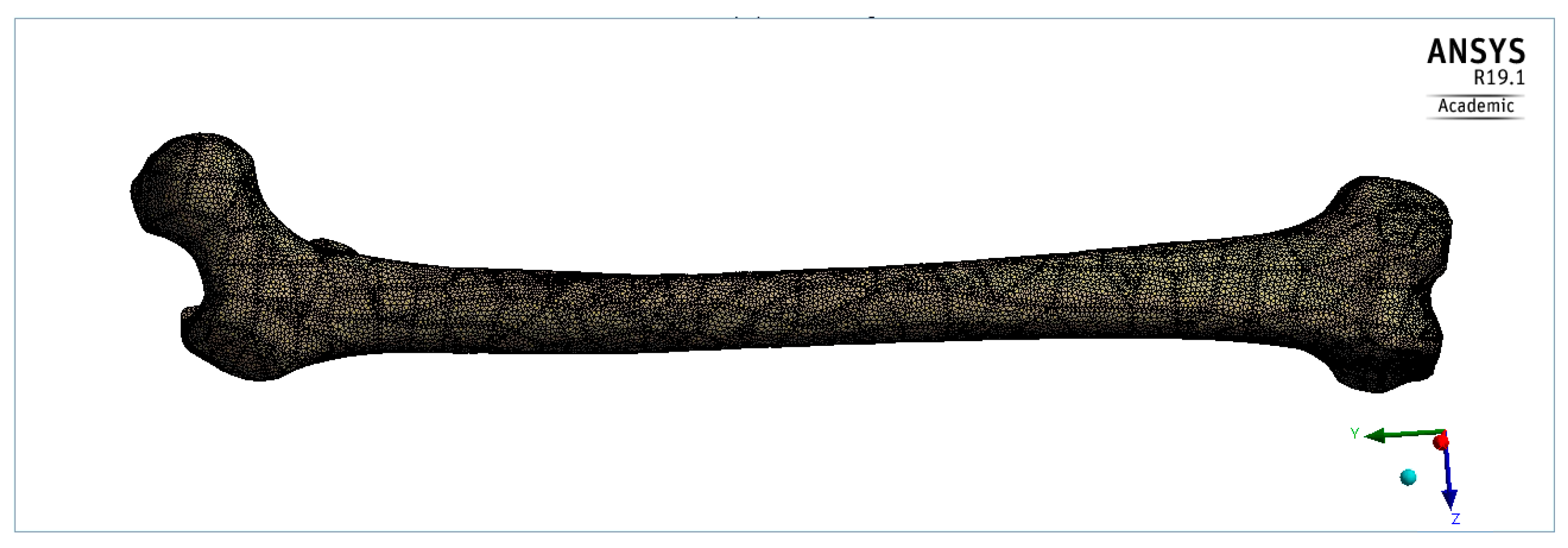 Bioengineering Free Full Text Retrospective Evaluation And Framework Development Of Bone