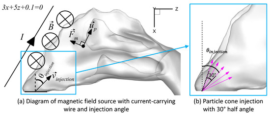 In Silico Study to Enhance Delivery Efficiency of Charged Nanoscale ...