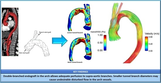 Bioengineering | Free Full-Text | Haemodynamic Analysis of Branched ...