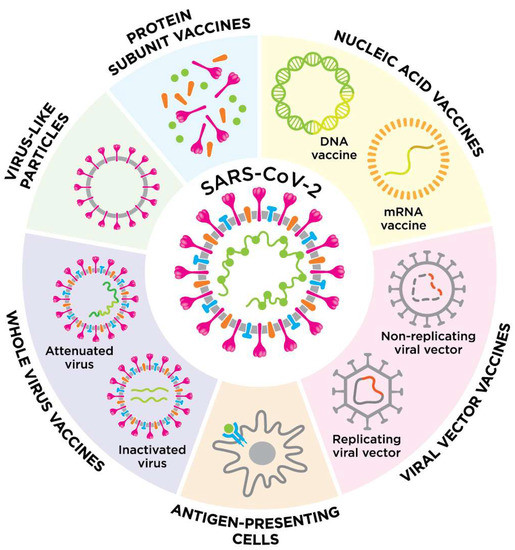 COVID-19 Vaccines: An Overview of Different Platforms