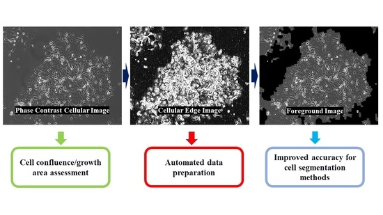 Bioengineering | Free Full-Text | Automated Cell Foreground–Background ...