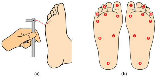 Bioengineering | Free Full-Text | Automatic Segmentation of ...