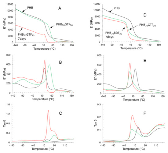 Bioengineering | Special Issue : Advances in Polyhydroxyalkanoate (PHA ...
