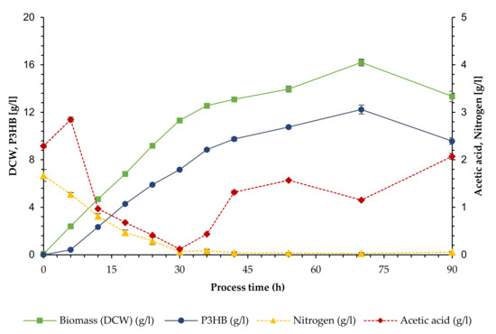 Bioengineering | Free Full-Text | Cell Retention as a Viable Strategy ...