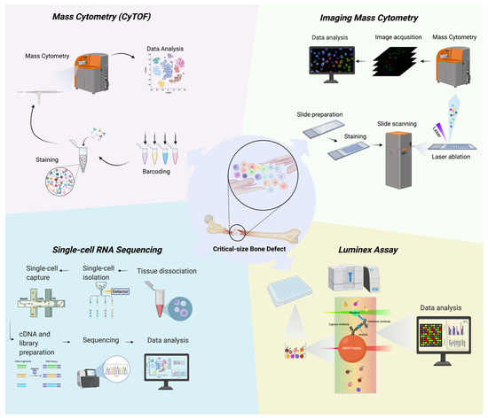 Novel Techniques and Future Perspective for Investigating Critical-Size ...