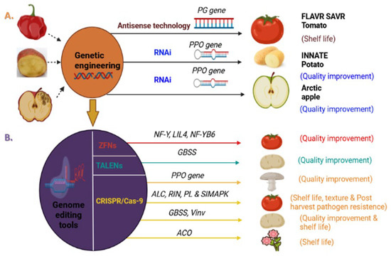 Genome Editing Technology for Genetic Amelioration of Fruits and ...