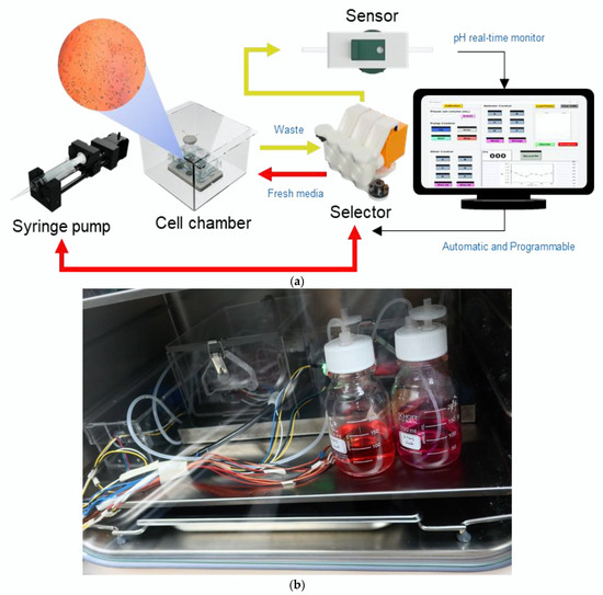 Automatic Programmable Bioreactor with pH Monitoring System for Tissue ...