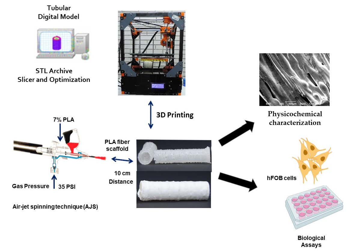 Bioengineering | Free Full-Text | 3D-Printed Tubular Scaffolds ...