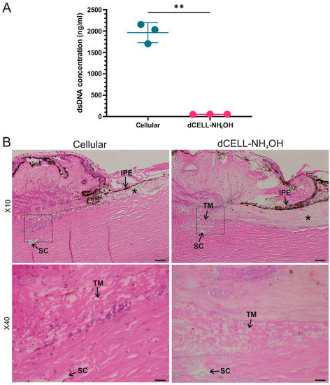 Bioengineering | Free Full-Text | An Optimized Method to Decellularize ...