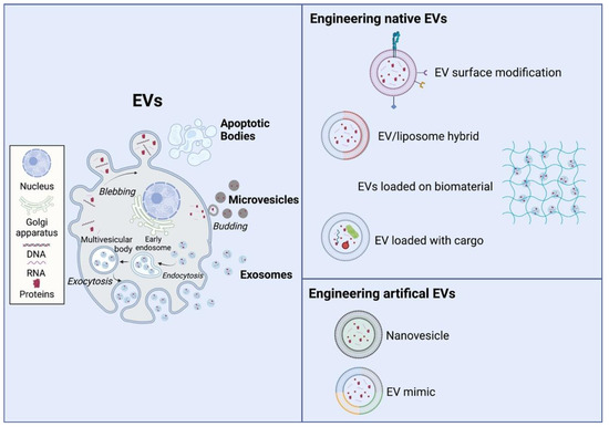 Engineering Extracellular Microenvironment for Tissue Regeneration