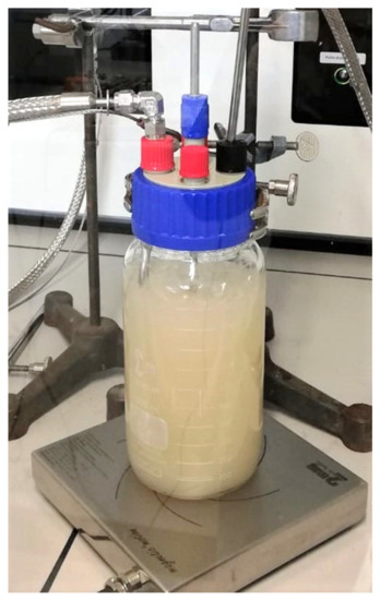 Lab-Scale Cultivation of Cupriavidus necator on Explosive Gas Mixtures ...