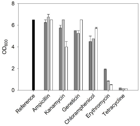 Lab-Scale Cultivation of Cupriavidus necator on Explosive Gas Mixtures ...