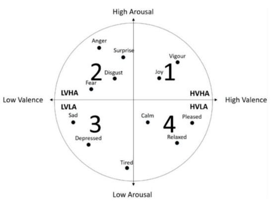 EEG-Based Emotion Recognition Using a 2D CNN with Different Kernels