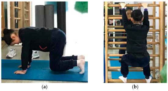 How do Paraspinal Muscles Contract during the Schroth Exercise ...