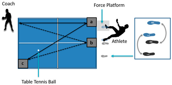 Understanding Sex-Based Kinematic and Kinetic Differences of Chasse ...