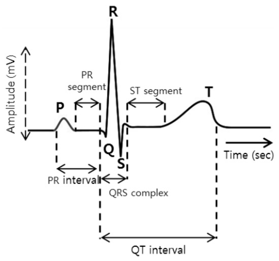Multi-Label Attribute Selection of Arrhythmia for Electrocardiogram ...