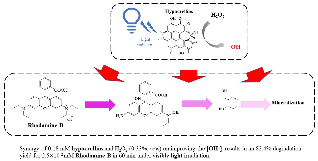 Bioengineering | Free Full-Text | Rapid Degradation of Rhodamine B ...