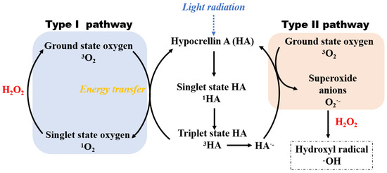 Rapid Degradation of Rhodamine B through Visible-Photocatalytic ...