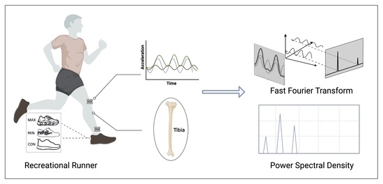 Bioengineering | Free Full-Text | Shock Acceleration and Attenuation ...