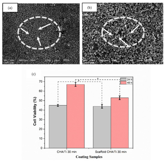Bioengineering | An Open Access Journal from MDPI