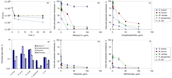 Adaptation of Bacteria to Antineoplastic Agents Involves Persister ...
