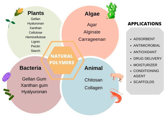 Bioengineering | An Open Access Journal from MDPI